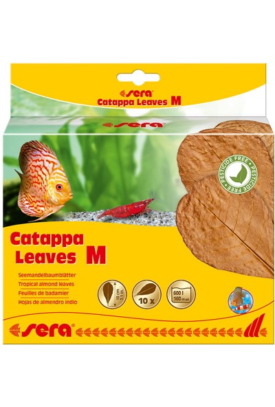 Sera Catappa Yaprağı M 18 cm (10 Adet)-Zoo
