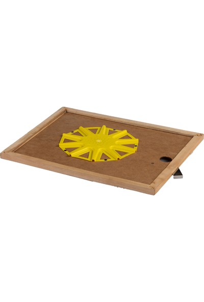 Apimaye Arı Kaçıran ( Tahtalı ) - Arıcılık