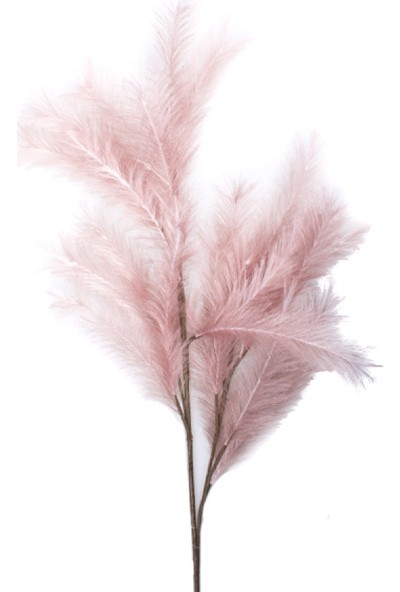 Mmc Concept Söğüt Çiçeği Pembe 110 cm