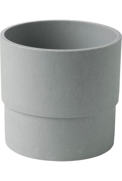 Noktalahra Nypon,gri Dekoratif,saksı, 12 cm