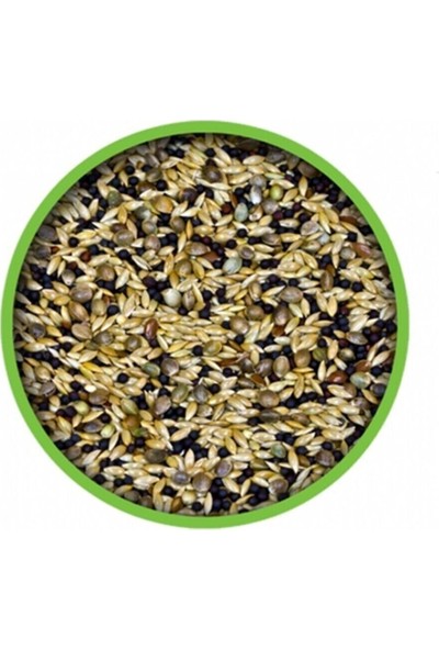 Vivid Karışık Kanarya YEMI,500 gr