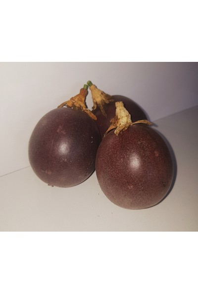 Tropik Meyvelerim Çarkıfelek Passiflora Meyvesi 3 Adet Tropik Meyvelerim Çarkıfelek Passiflora Meyvesi 3 Adet