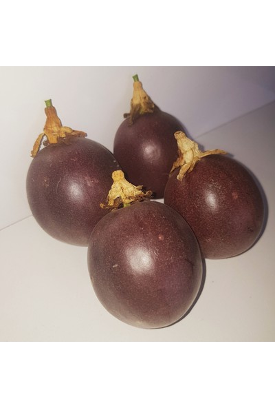 Tropik Meyvelerim Çarkıfelek Passiflora Meyvesi 4 Adet Tropik Meyvelerim Çarkıfelek Passiflora Meyvesi 4 Adet