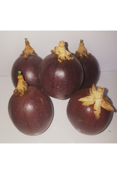 Tropik Meyvelerim Çarkıfelek Passiflora Meyvesi 5 Adet Tropik Meyvelerim Çarkıfelek Passiflora Meyvesi 5 Adet