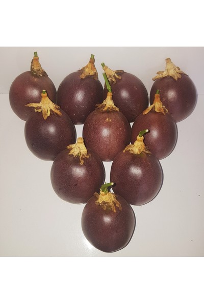 Tropik Meyvelerim Çarkıfelek Passiflora Meyvesi 10 Adet Tropik Meyvelerim Çarkıfelek Passiflora Meyvesi 10 Adet