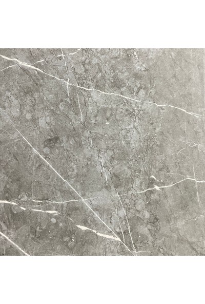 Söğüt Seramik 20X20 Grey Line Karo