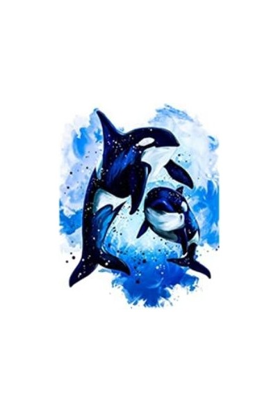 Anasons Orca Sayılarla Boyama Seti Kasnaklı 70 x 90 cm PS1935