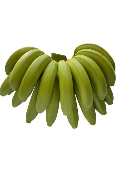 Tropikal 5 kg Yeşil Muz Organik