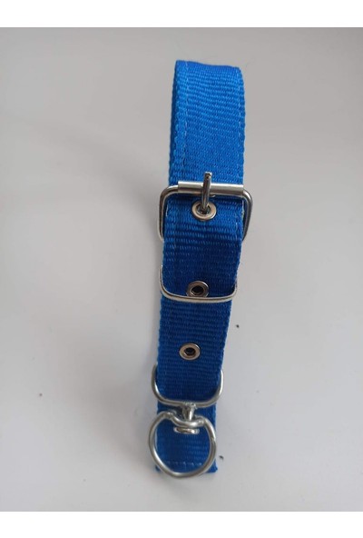Kozaklı Orta Irk Köpek Tasmasi Boy 60 En 3 cm Kozaklı Orta Irk Köpek Tasmasi Boy 60 En 3 cm