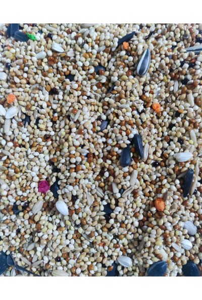 Vivid Karışık Pareket Papağan Yemi Granüllü 5kg Vivid Karışık Pareket Papağan Yemi Granüllü 5kg