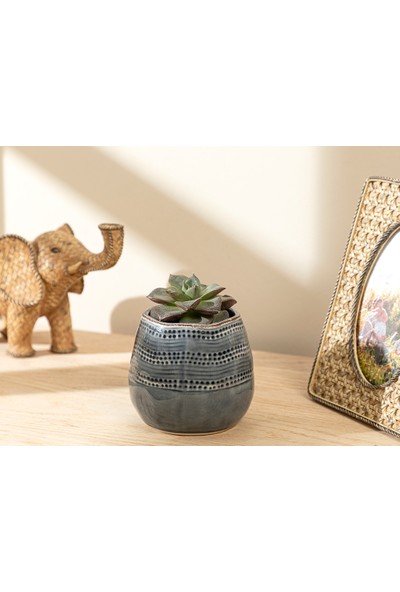 English Home Erica Saksı 13X13X12 cm Mavi