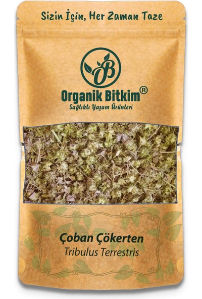 Organik Bitkim Çoban Çökerten (Tribulus) 500 gr Organik Bitkim Çoban Çökerten (Tribulus) 500 gr