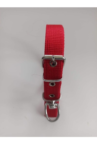 Kozaklı Küçük Irk Köpek Tasmasi Boy 50 cm En 2.5 cm