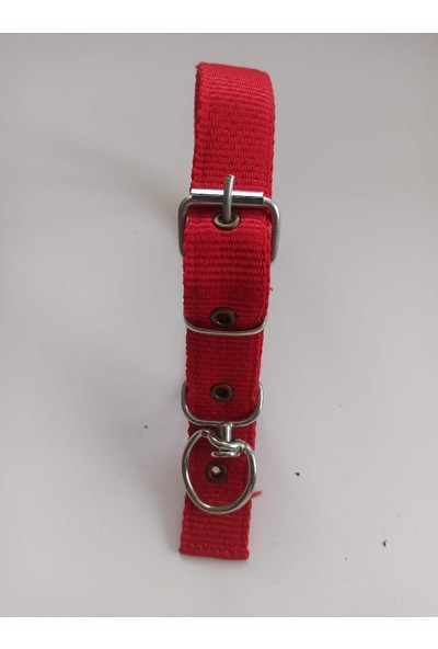 Kozaklı Orta Irk Köpek Tasmasi Boy 60 En 3 cm Kozaklı Orta Irk Köpek Tasmasi Boy 60 En 3 cm