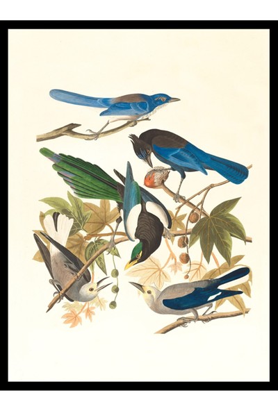 Koztas Tablo Mdf (15X20) Çerçeve Görünümlü