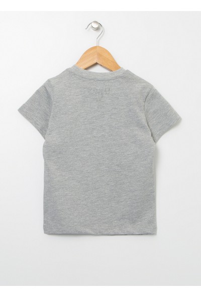 Limon Bisiklet Yaka Standart Kalıp Baskılı Gri Melanj Erkek Çocuk T-Shirt - Beach Boy Limon Bisiklet Yaka Standart Kalıp Baskılı Gri Melanj Erkek Çocuk T-Shirt - Beach Boy