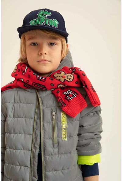 DeFacto Erkek Çocuk Kapüşonlu Polar Astarlı Reflektör Kumaşlı Şişme MONT W1924A622SP DeFacto Erkek Çocuk Kapüşonlu Polar Astarlı Reflektör Kumaşlı Şişme MONT W1924A622SP
