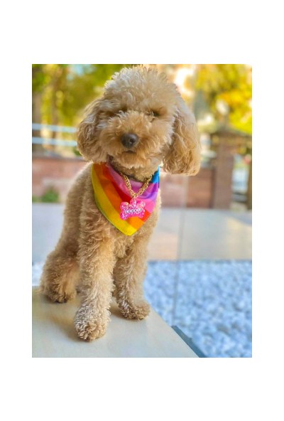 Max & Mia Max&mia Kedi ve Köpekler Için Gökkuşağı Fular