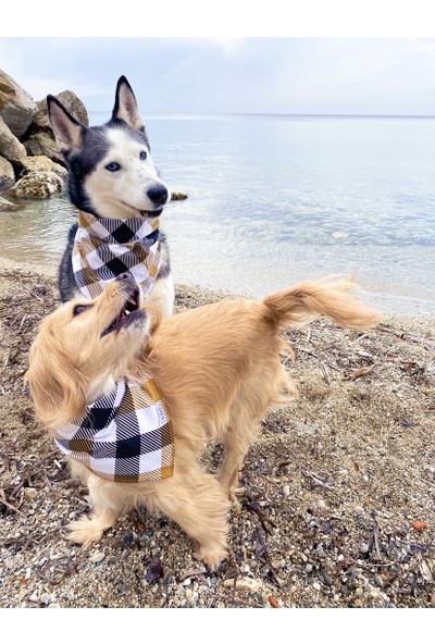 Max & Mia Max&mia Hardal Ekose Fular