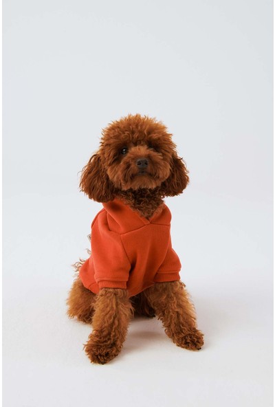 Bruno Society Doğa Dostu Kumaştan Kapüşonlu Köpek Sweatshirt Kırmızı 5 Bruno Society Doğa Dostu Kumaştan Kapüşonlu Köpek Sweatshirt Kırmızı 5