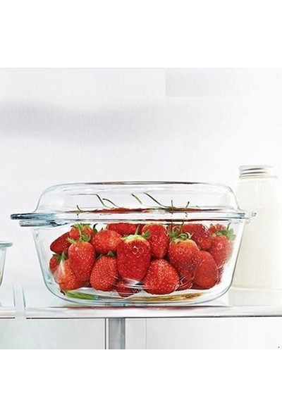 Paşabahçe Borcam Tenc.