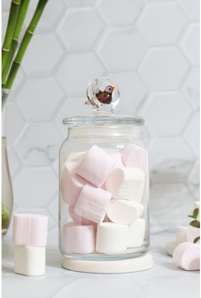 Ring Mor Kuş Cam Figürlü Dekoratif Kavanoz Tekli 1085 cc