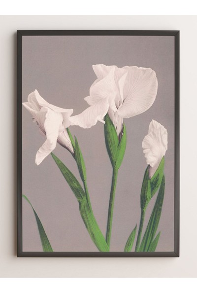 Ogawa Kazumasa Tablo Sanatsal Ünlü Sanatçı Poster - Yüksek Çözünürlük Hd Poster - Çerçevesiz