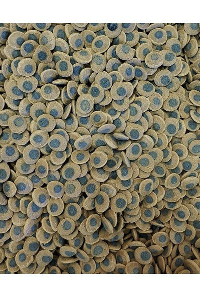 Tetra Pleco Veggie Wafers Tablet Yem (Açık) 100 Gr. Tetra Pleco Veggie Wafers Tablet Yem (Açık) 100 Gr.