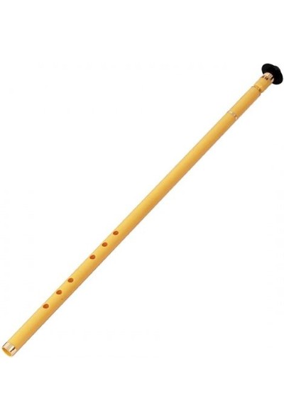 Ney Öğrenci KIZ / Si NPSI