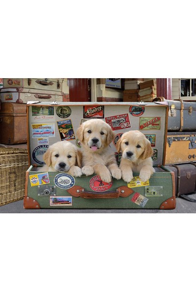 Educa Puzzle 500 Parça Bagajdaki Yavru Köpekler 17645