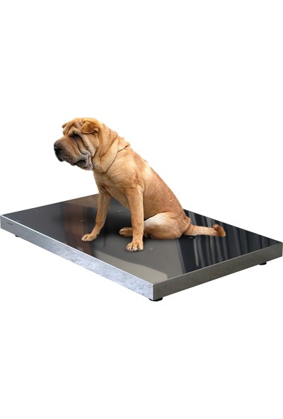 Arester Vt 55X80 300 Kg Veteriner Kedi - Köpek Baskülü