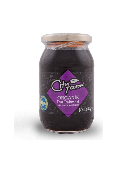 City Farm Organik Dut Pekmezi 450 gr