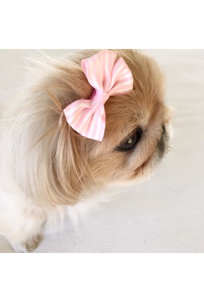 Kemique Toka By Stripe Serisi Pembe Köpek Tokası Kemique Toka By Stripe Serisi Pembe Köpek Tokası