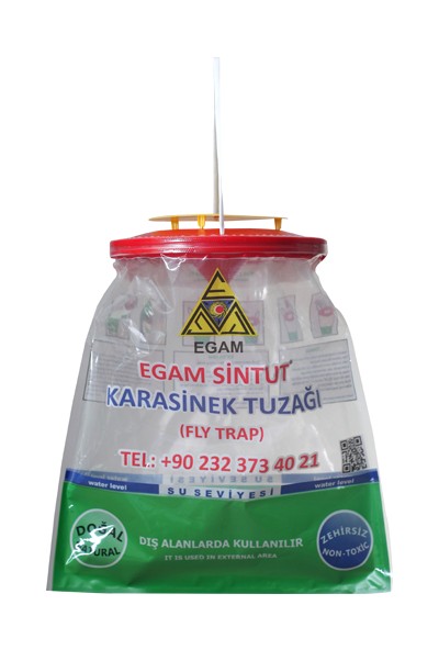 Sintut L Karasinek Tuzağı