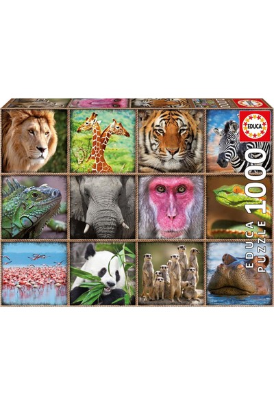 Educa Puzzle Wild Animals Collage 1000 Parça Puzzle Educa Puzzle Wild Animals Collage 1000 Parça Puzzle