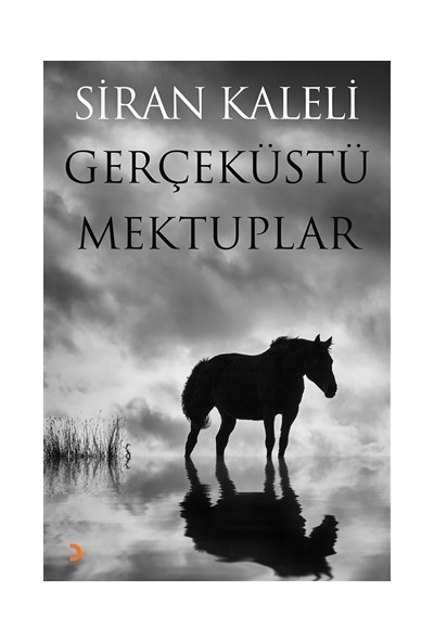 Gerçeküstü Mektuplar