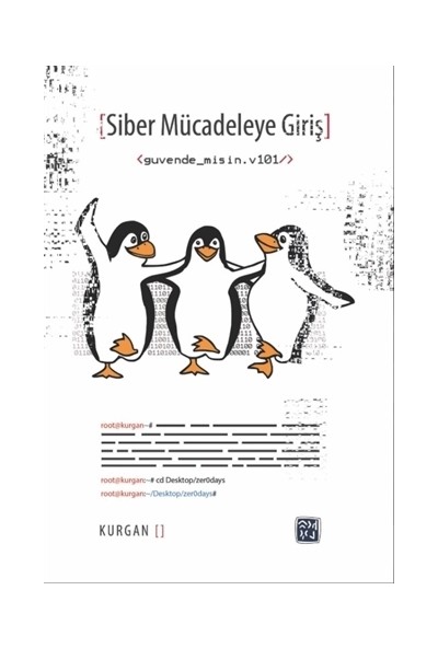 Siber Mücadeleye Giriş