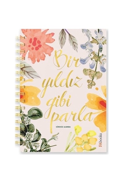 Ajanda - Bir Yıldız Gibi Parla / Süresiz