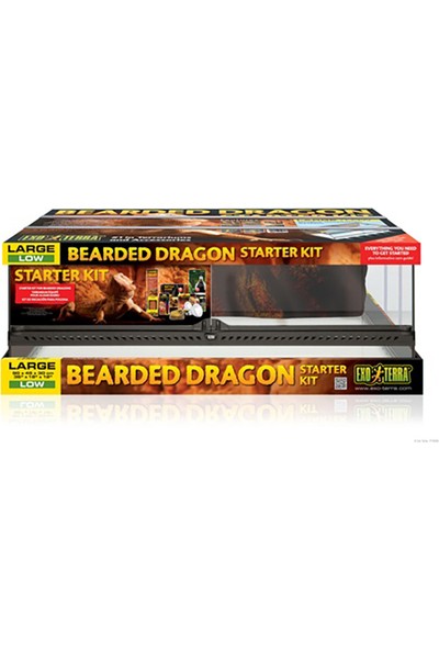 Xnews Ex Bearded Dragon Starter Kit-Zoo
