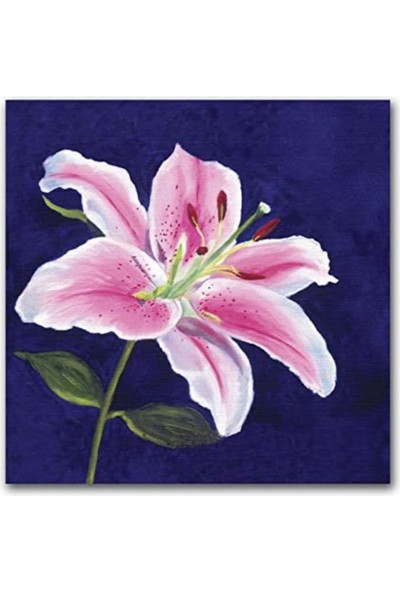 Retro Fashion 30 x 30 cm Mdf Tablo 128 Retro Fashion 30 x 30 cm Mdf Tablo 128