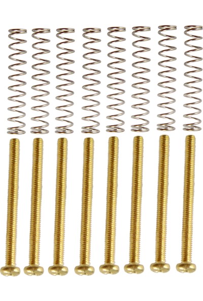 8x Elektro Gitar Humbucker Çift Bobin Pikap Çerçevesi Vidalar Yaylar Altın 8x Elektro Gitar Humbucker Çift Bobin Pikap Çerçevesi Vidalar Yaylar Altın