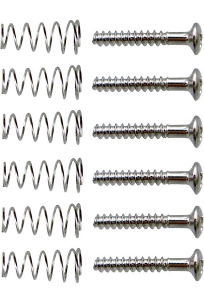 6 Adet Elektro Gitar Tek Bobin Pikap Ayarlama Vidalar Set 20.2X3MM Gümüş