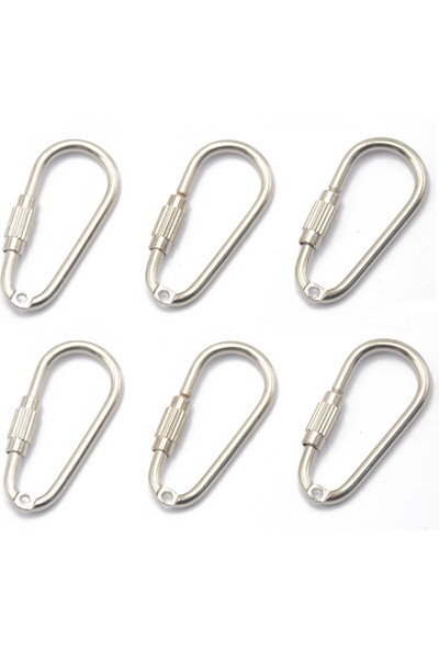 Strade Store 6 Adet D Şekli Karabina Klipsi Snap Kanca Küçük Anahtarlık Kamp Karabiner Gümüş (Yurt Dışından) Strade Store 6 Adet D Şekli Karabina Klipsi Snap Kanca Küçük Anahtarlık Kamp Karabiner Gümüş (Yurt Dışından)