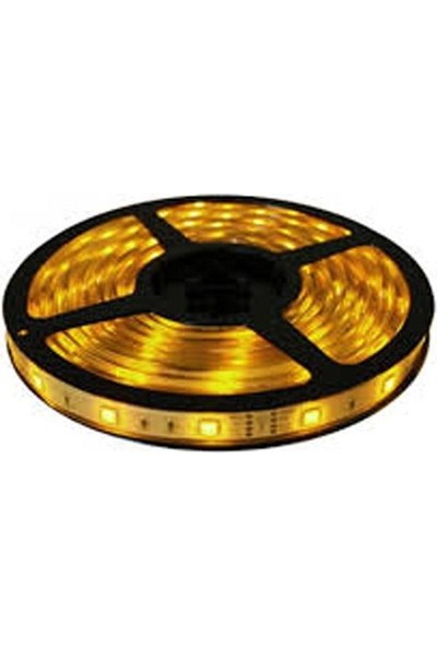 Global K2 KCL004 3528 5m Sarı Tek Çipli 60 Ledli Silikonsuz Iç Mekan Şerit LED Global K2 KCL004 3528 5m Sarı Tek Çipli 60 Ledli Silikonsuz Iç Mekan Şerit LED