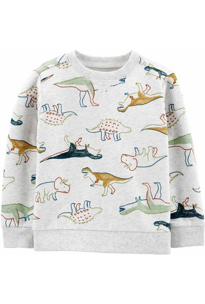 Carter's Erkek Çocuk Dinozor Desenli Uzun Kollu Eşofman Üstü
