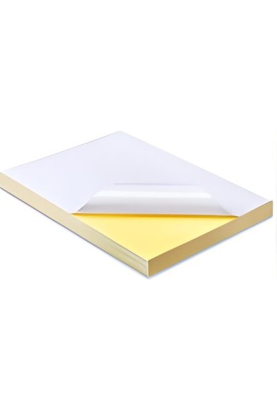 Adestor Yapışkanlı Etiket Parlak Kuşe A4 Ebat 50'li Adestor Yapışkanlı Etiket Parlak Kuşe A4 Ebat 50'li