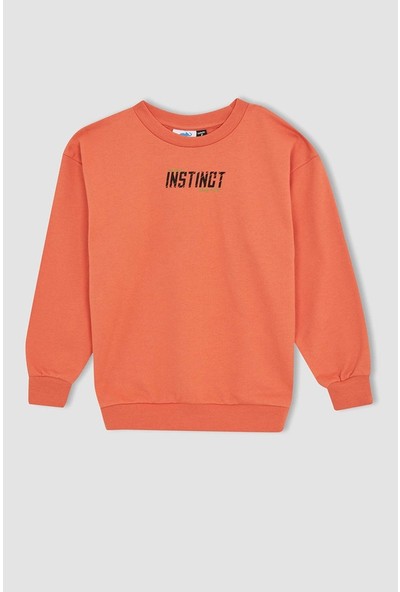 DeFacto Erkek Çocuk Animal Planet Lisanslı Relax Fit Bisiklet Yaka Sırt Baskılı Sweatshirt W1256A621WN DeFacto Erkek Çocuk Animal Planet Lisanslı Relax Fit Bisiklet Yaka Sırt Baskılı Sweatshirt W1256A621WN