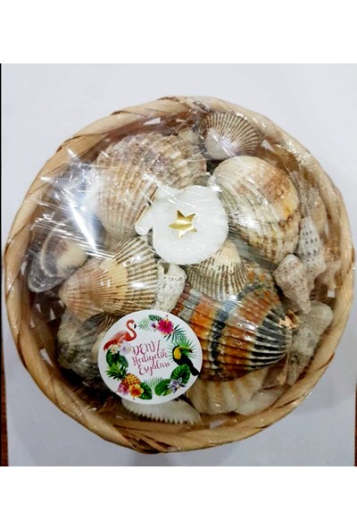 Deniz Hediyelik Eşya Deniz Kabukları