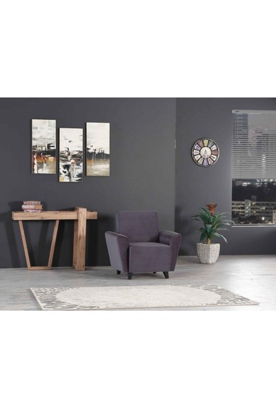 Ipek Mobilya Enjoy Tekli Berjer