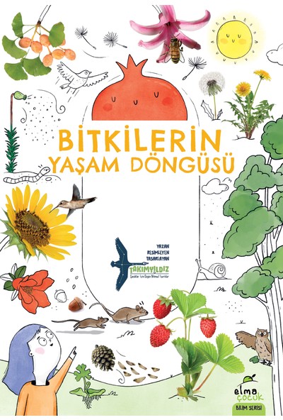 Bitkilerin Yaşam Döngüsü